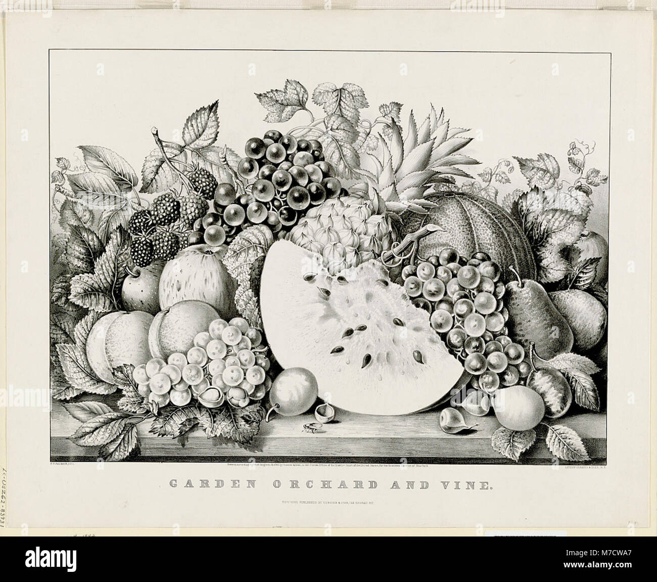 The image depicts a well-maintained garden with orchards and vines ...