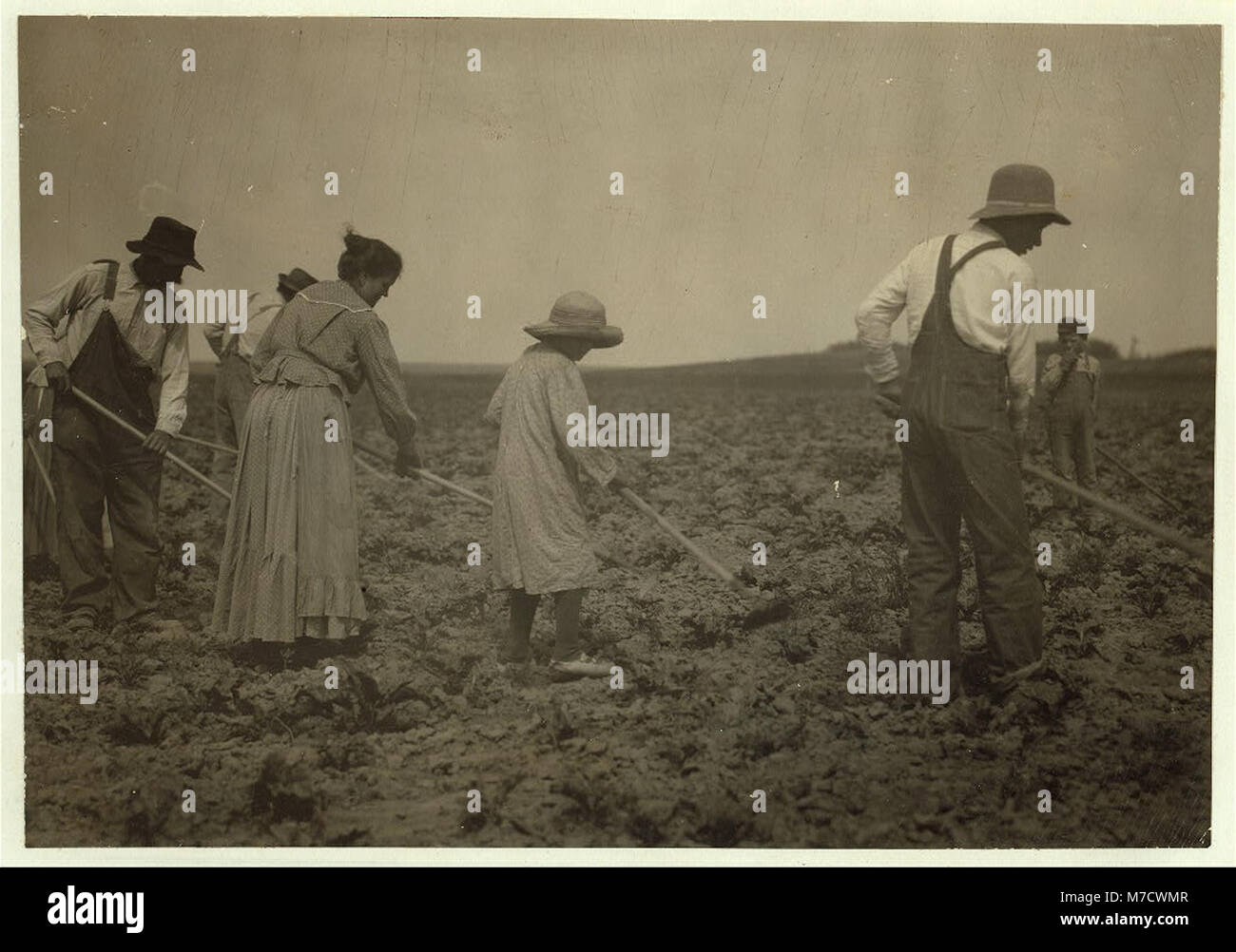 Farm workers 1930s hi-res stock photography and images - Alamy