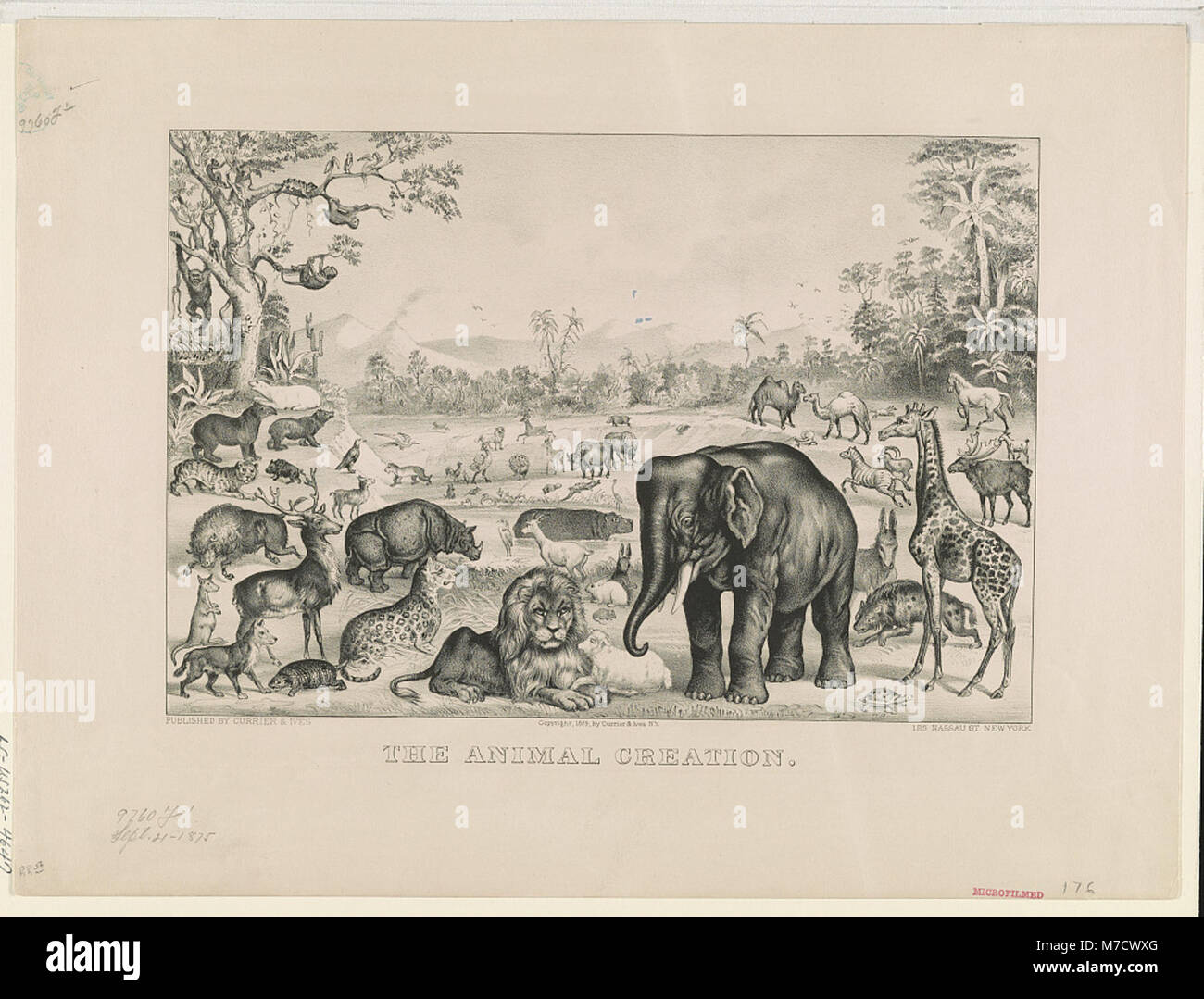 A scientific illustration depicting the creation of animals ...