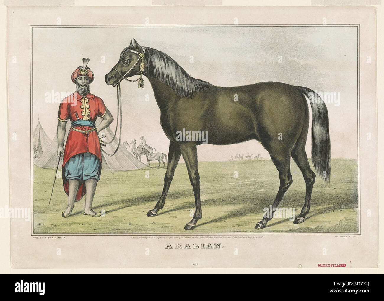 The term 'Arabian' generally refers to people, culture, and geography ...