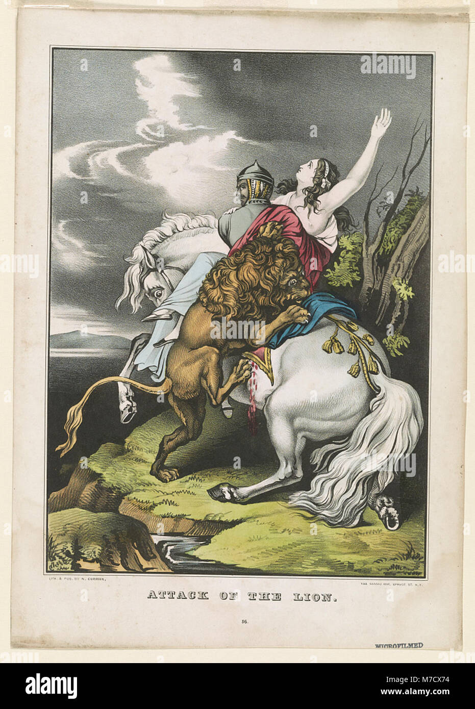A dramatic scene capturing a lion attacking, showcasing the wild nature ...