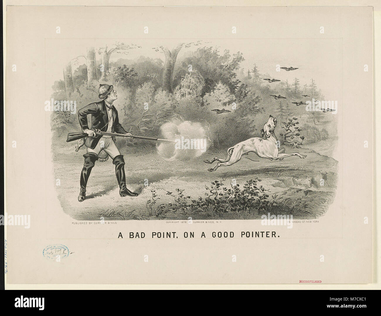 This photograph features a dog, specifically a pointer breed, captured ...