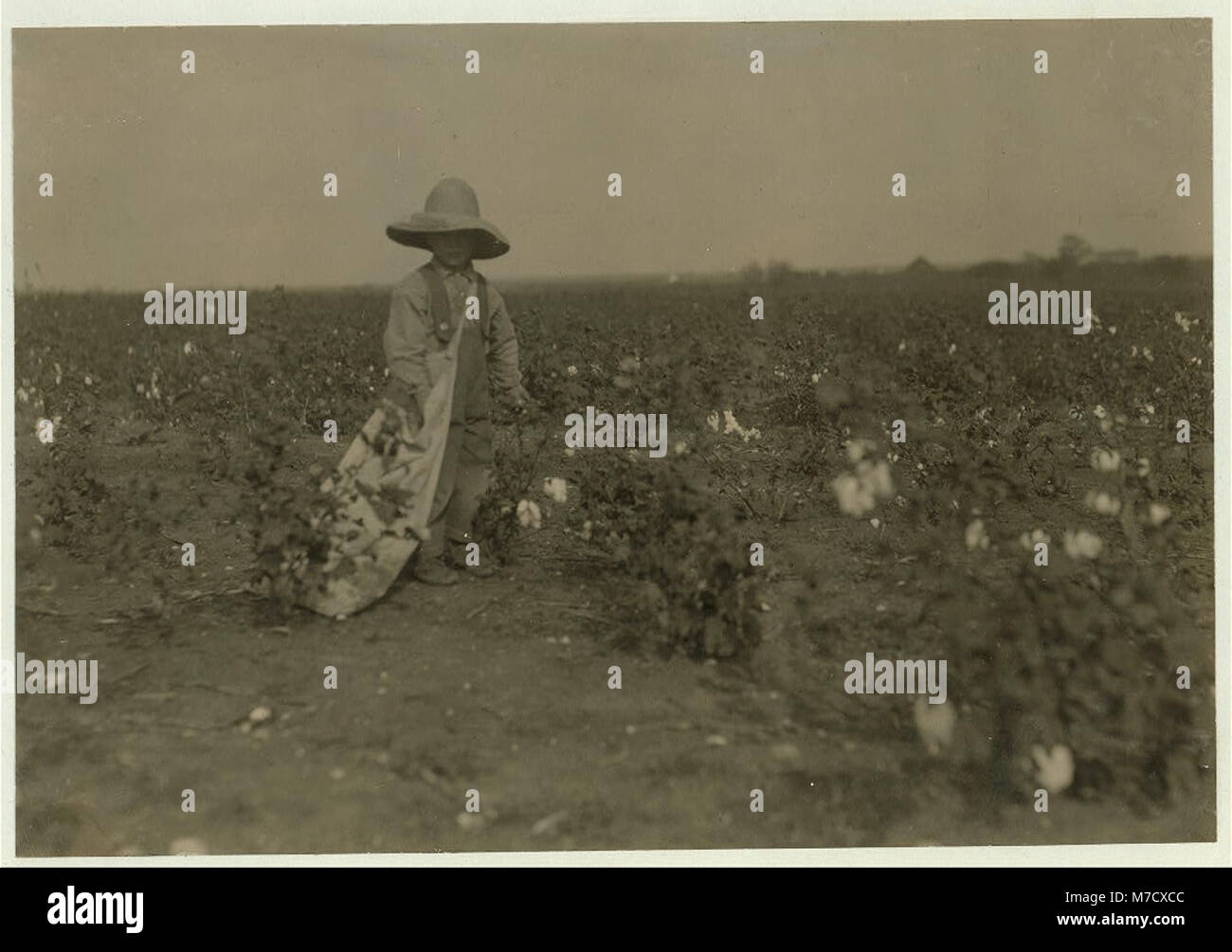 A photograph of five-year-old Willie Hesse, working on the family farm ...
