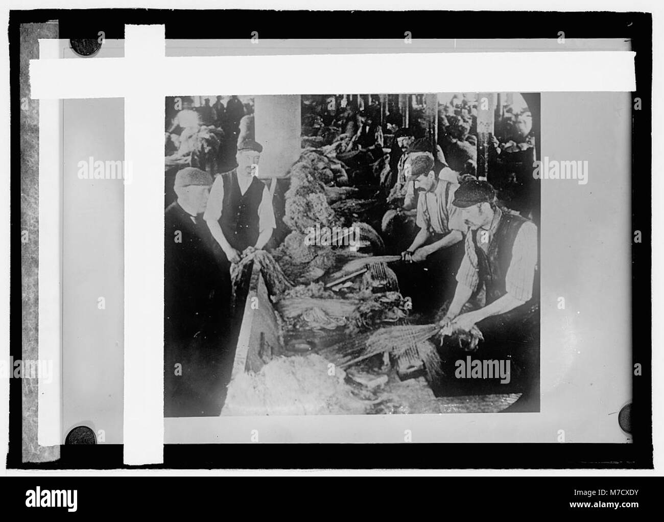 This image depicts the initial stage of the flax industry, focusing on ...