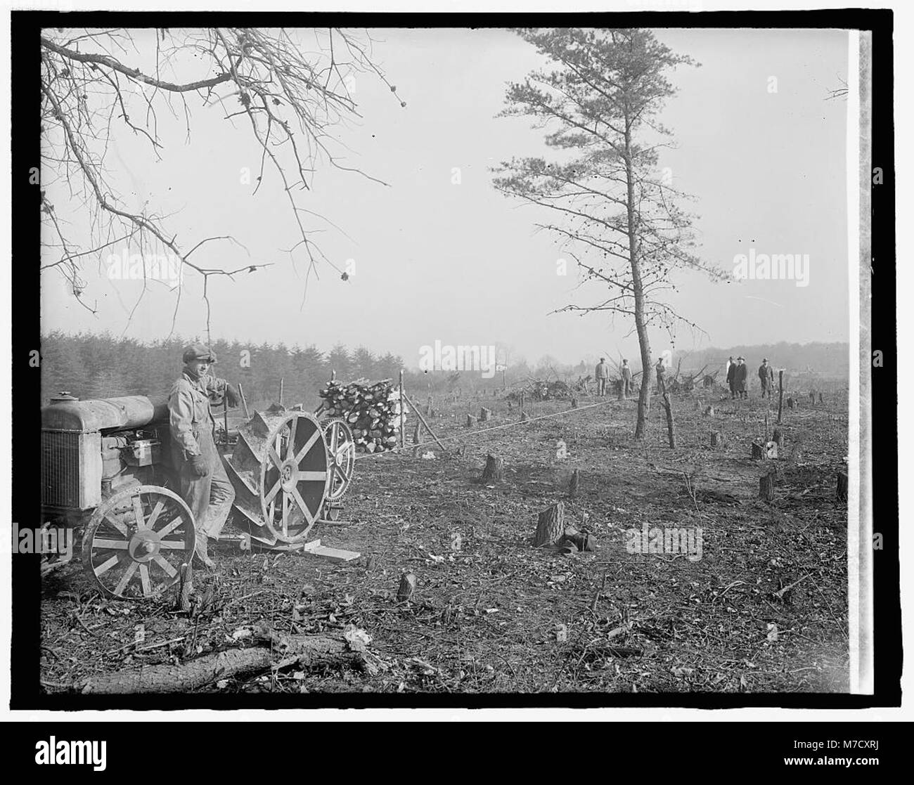 Stump pulling hi-res stock photography and images - Alamy