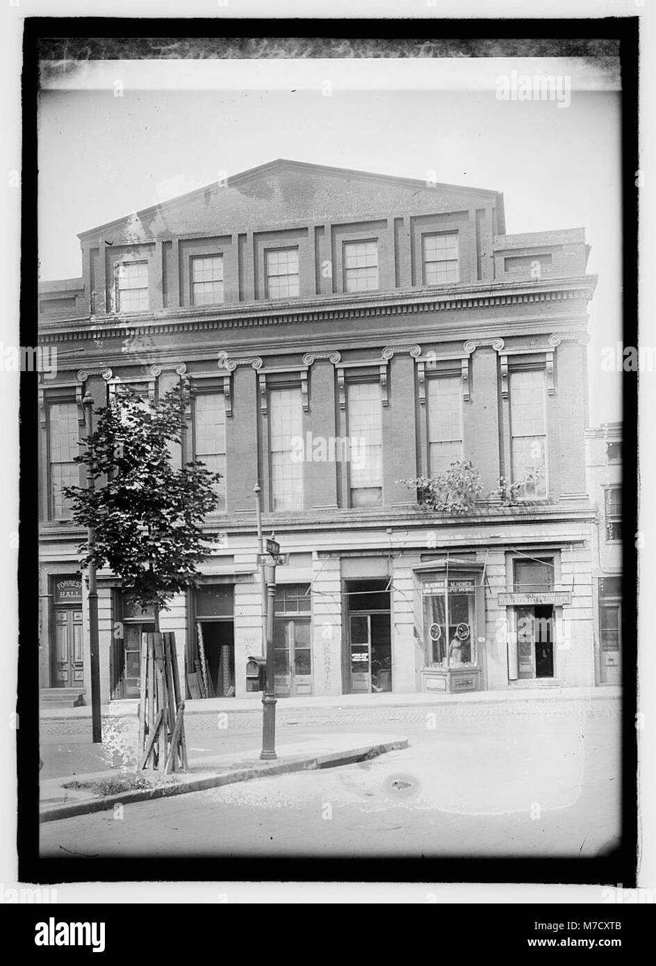 Forrest Hall at Georgetown University is depicted with a tree growing ...