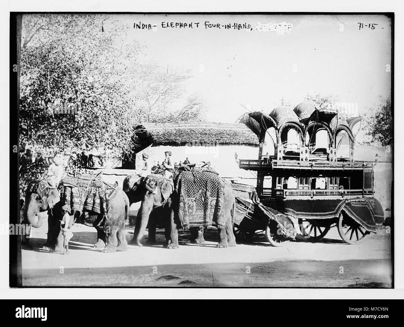 Photograph of four elephants pulling a carriage in India, highlighting ...