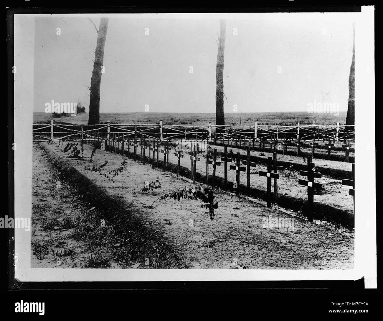 This photograph captures a view of Flanders Field in France, a site of ...
