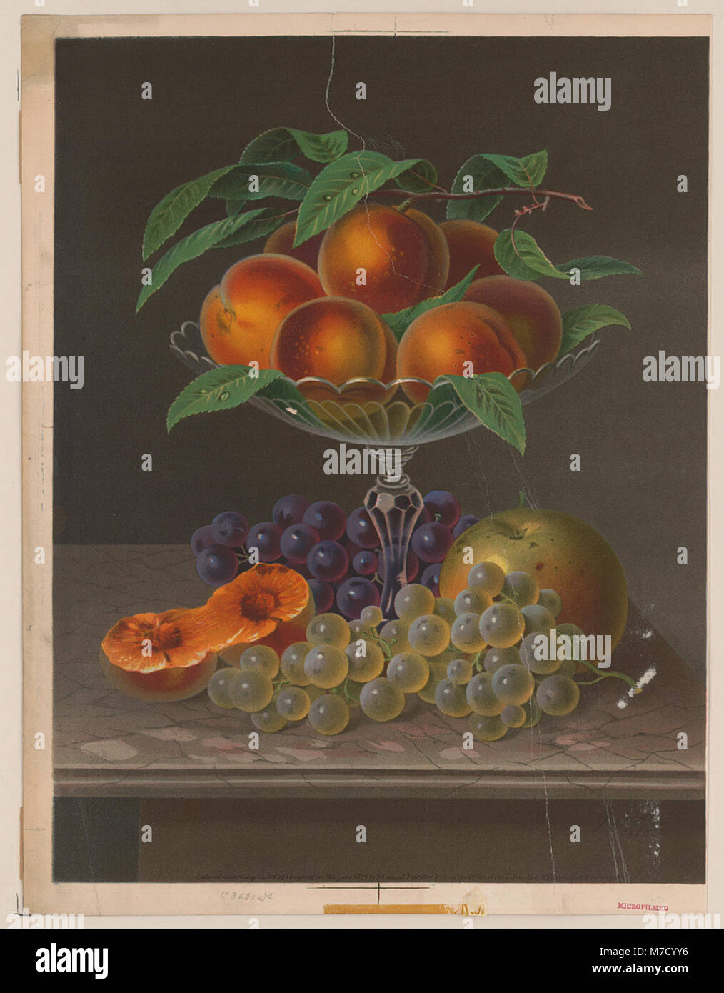 Focus on fruit classification hi-res stock photography and images - Alamy