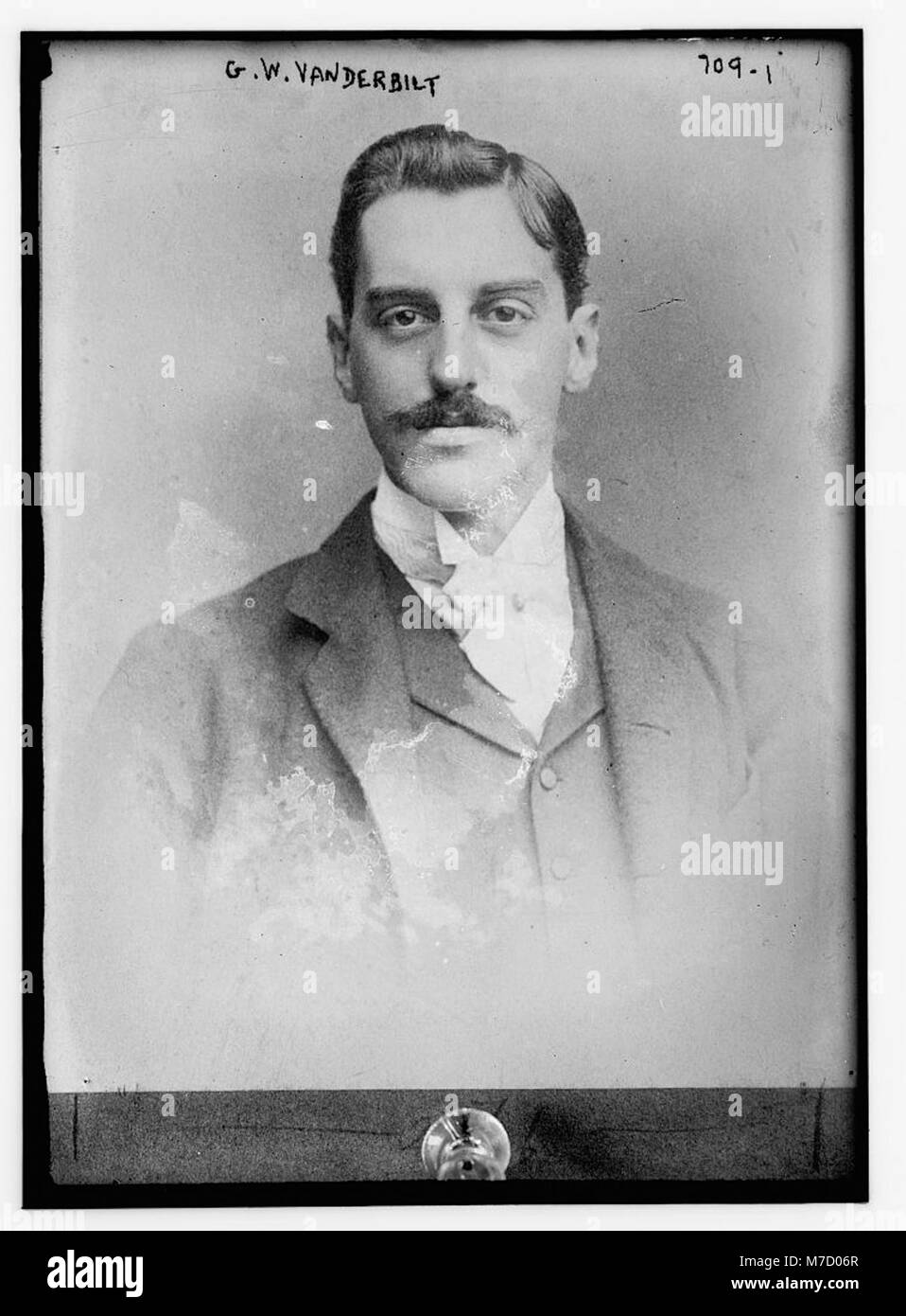 This portrait features George Washington Vanderbilt, a prominent ...