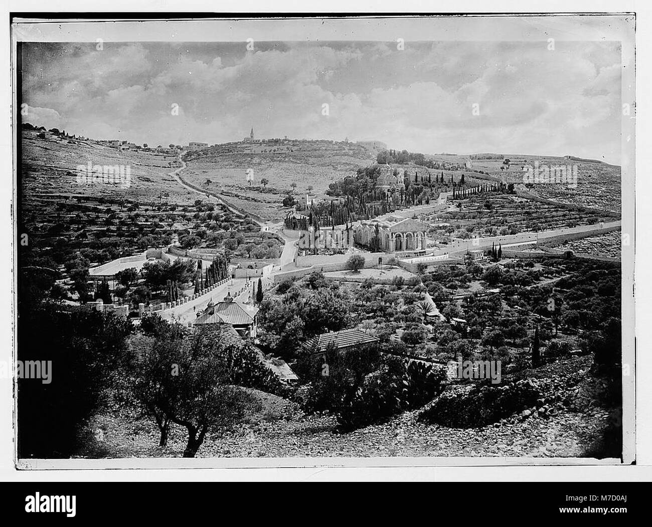 This photograph shows the Mount of Olives and the Garden of Gethsemane ...