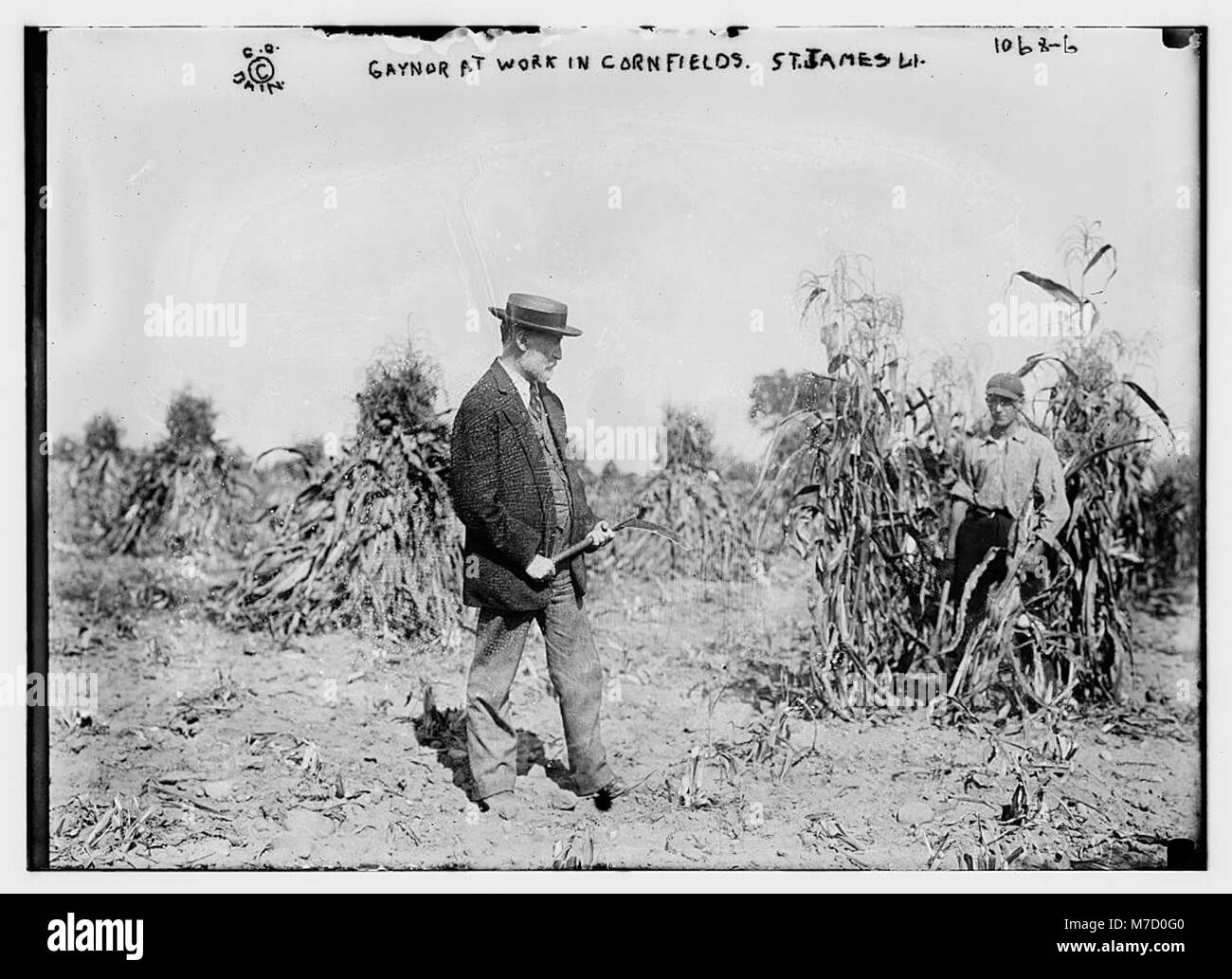 The image shows Gaynor holding a shovel in the cornfields of St. James ...