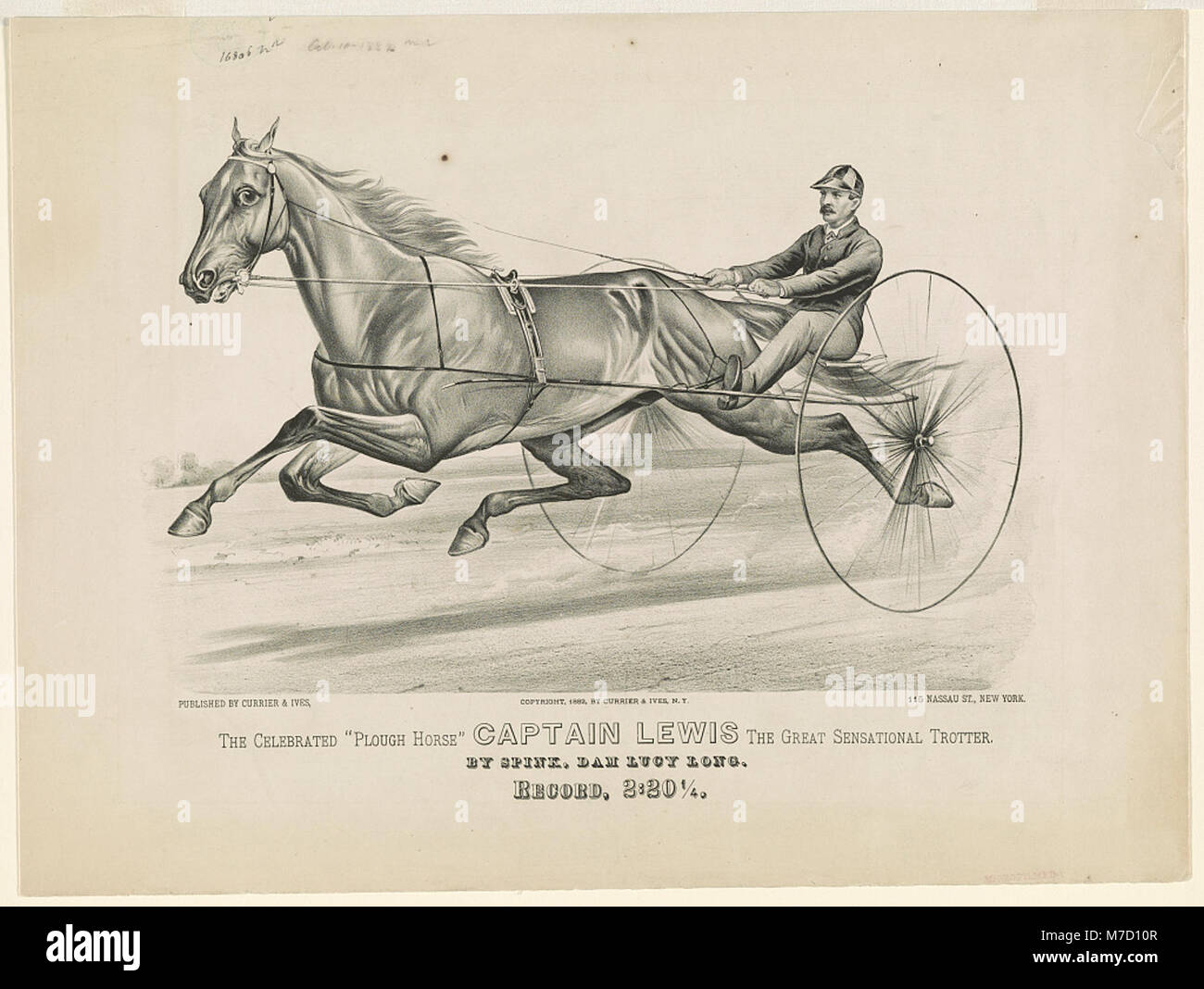 A photograph of Captain Lewis, a famous trotting horse known for ...