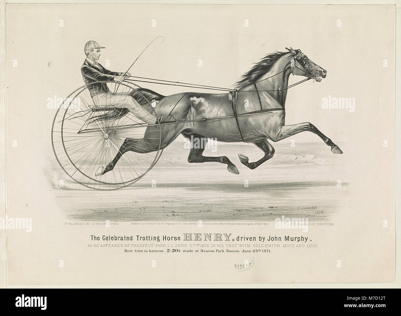 Henry, the celebrated trotting horse, driven by John Murphy, is shown ...