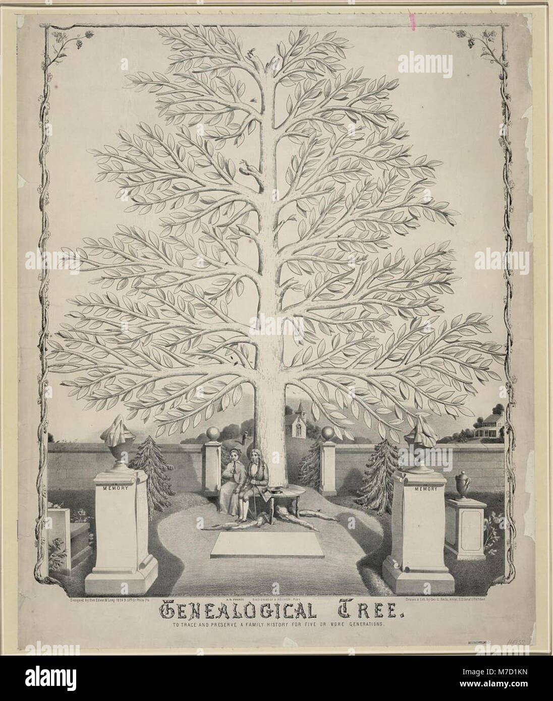 Genealogical tree hi-res stock photography and images - Alamy