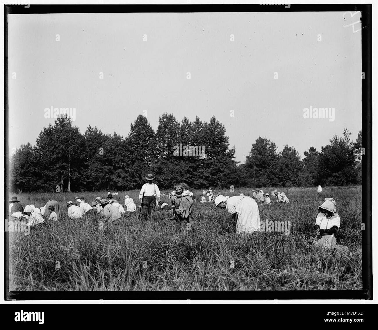 Landscape view bog wetland in Black and White Stock Photos & Images - Alamy