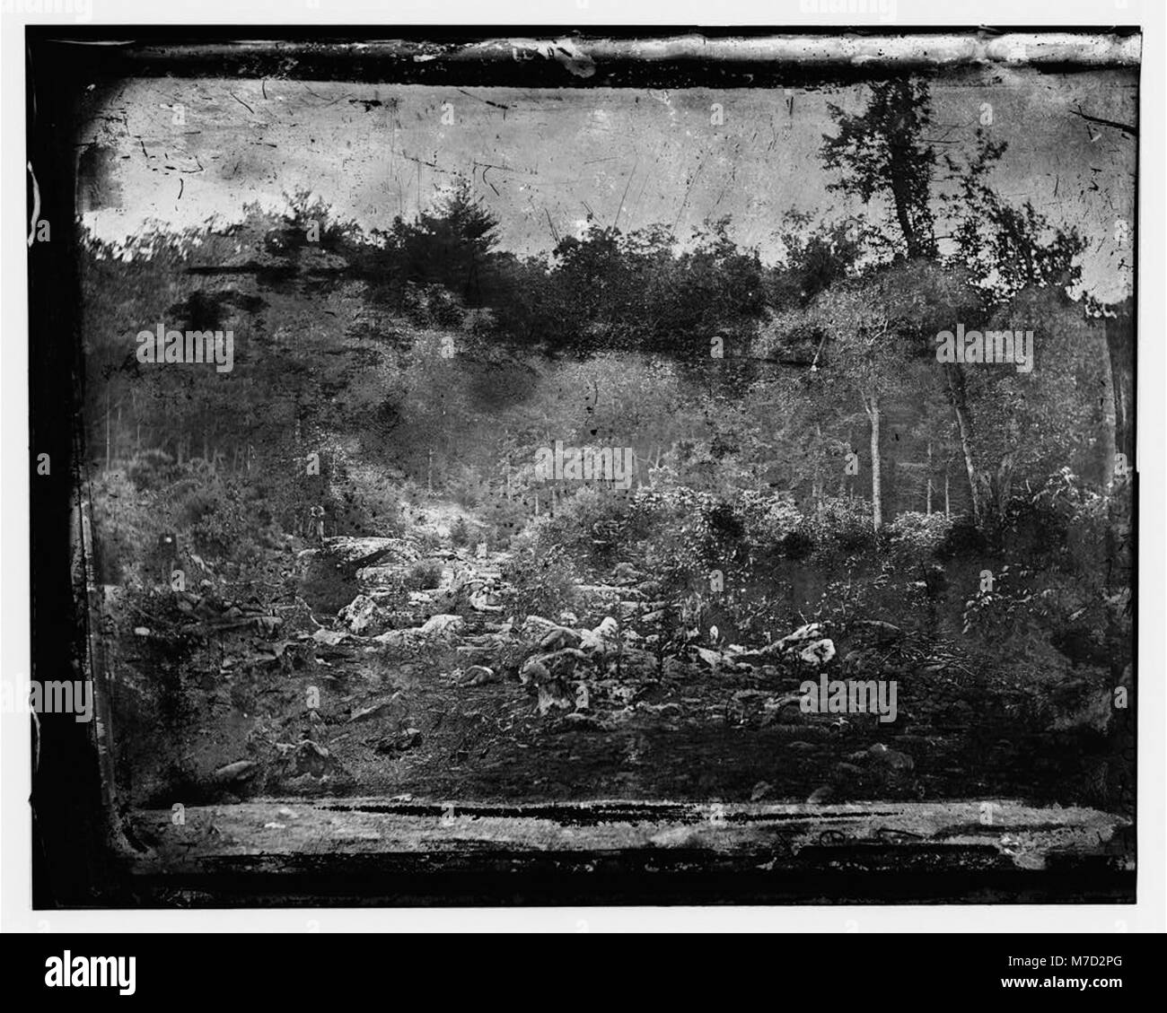 This photograph captures the 'Slaughter Pen' at Gettysburg ...