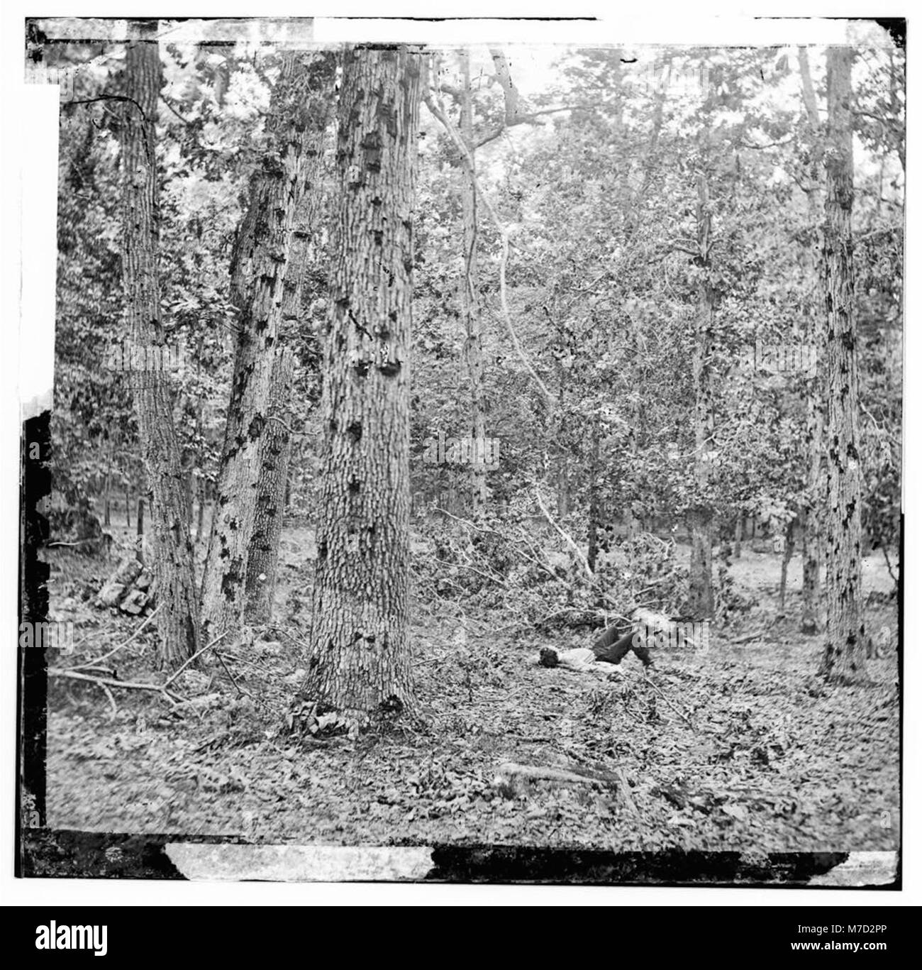 Gettysburg Culp’s Hill High Resolution Stock Photography and Images - Alamy