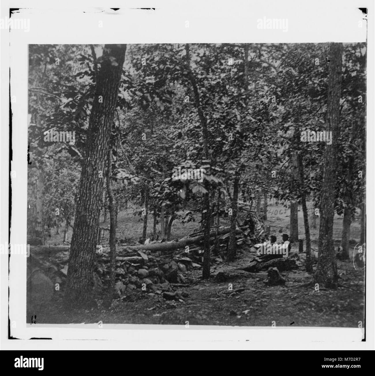 Federal breastworks, or defensive earthworks, on Culp's Hill ...