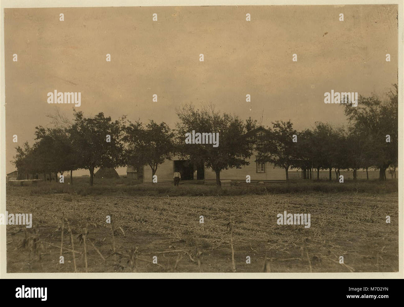 This image shows Girard farm, located near the West, managed by a ...
