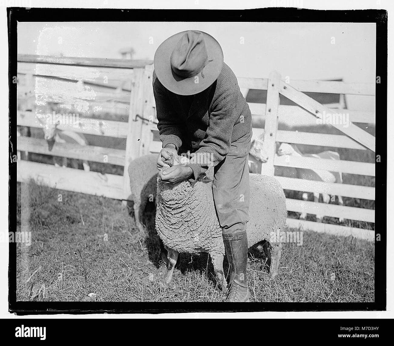 The Government Farm at Beltsville, Maryland, is a research facility ...