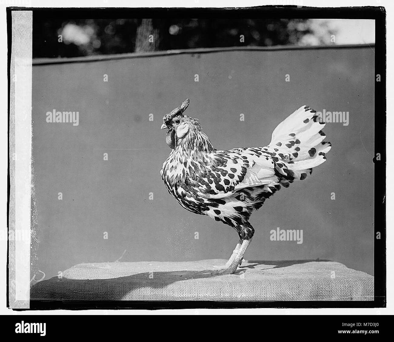 Agricultural research tools Black and White Stock Photos & Images - Alamy