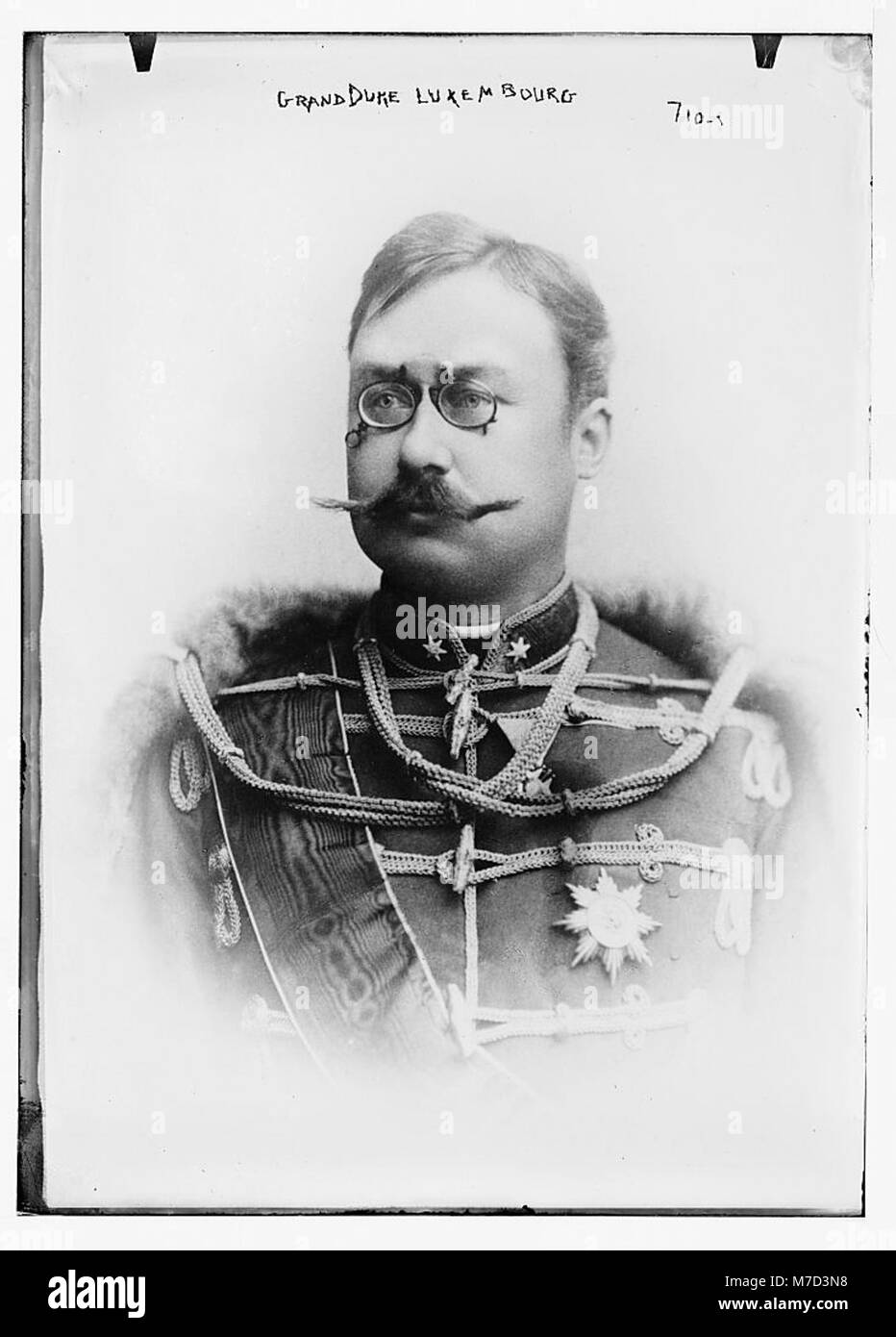 Portrait of the Grand Duke of Luxembourg, capturing his role as a ...