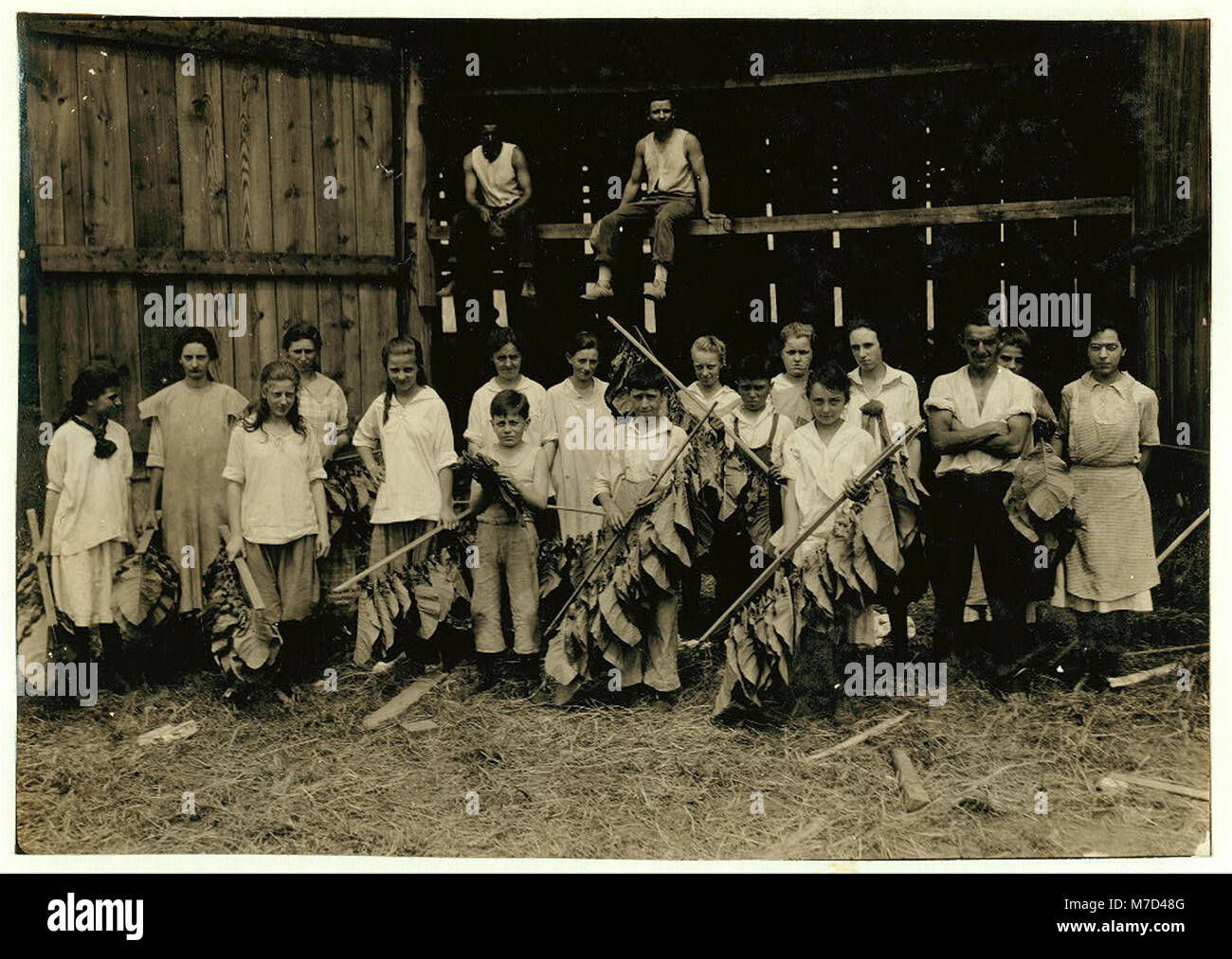 A photograph showing a group of shed workers at Wetstone Farm ...