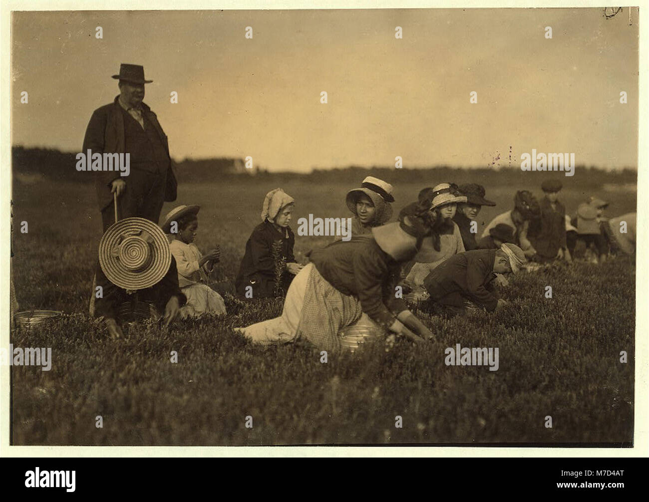 This photograph shows a group of workers at Smart's Bog, capturing the ...