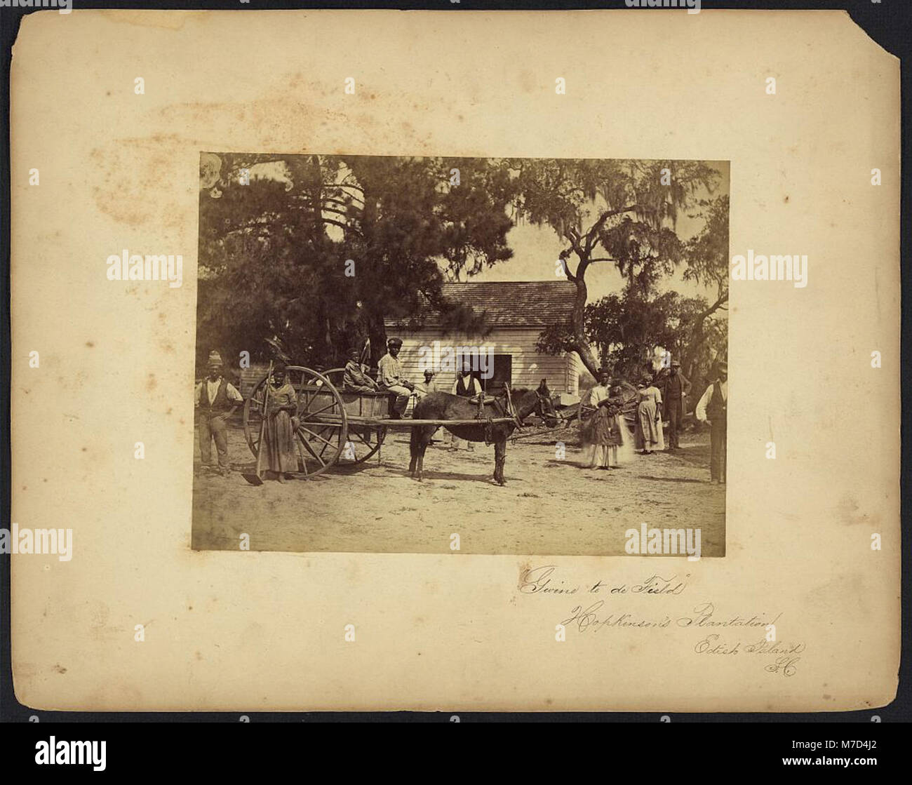 Plantation south carolina slavery hi-res stock photography and images ...