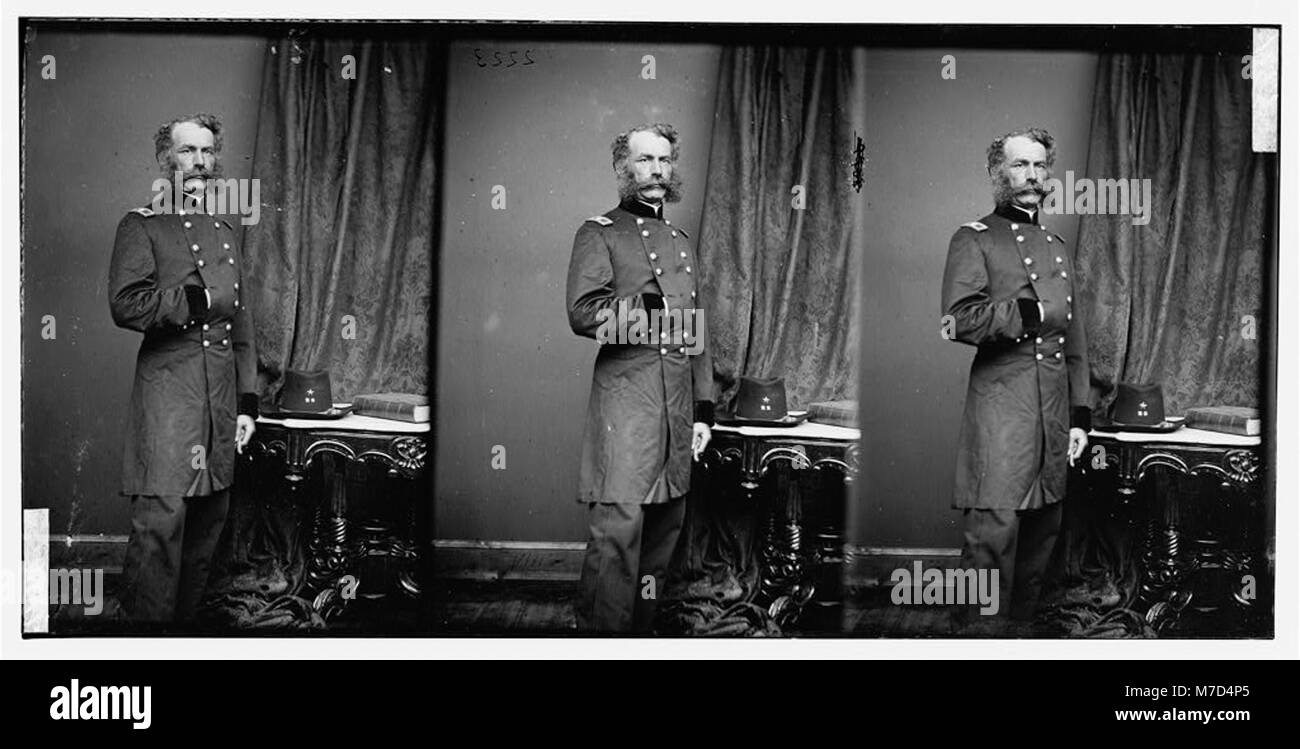 A portrait of H.M. Naglee, a historical figure, capturing his ...