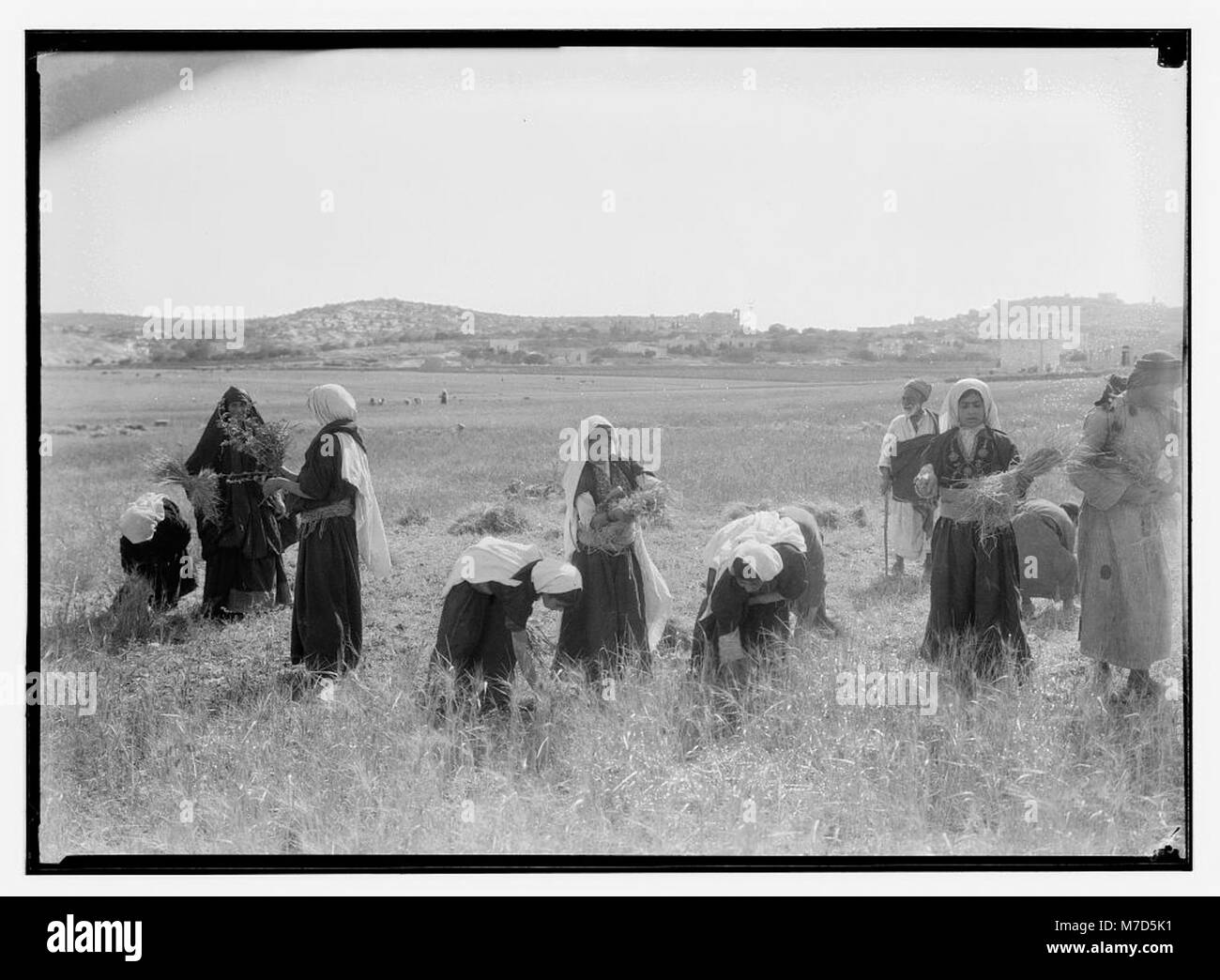 This image depicts scenes from the biblical story of Ruth and Boaz ...