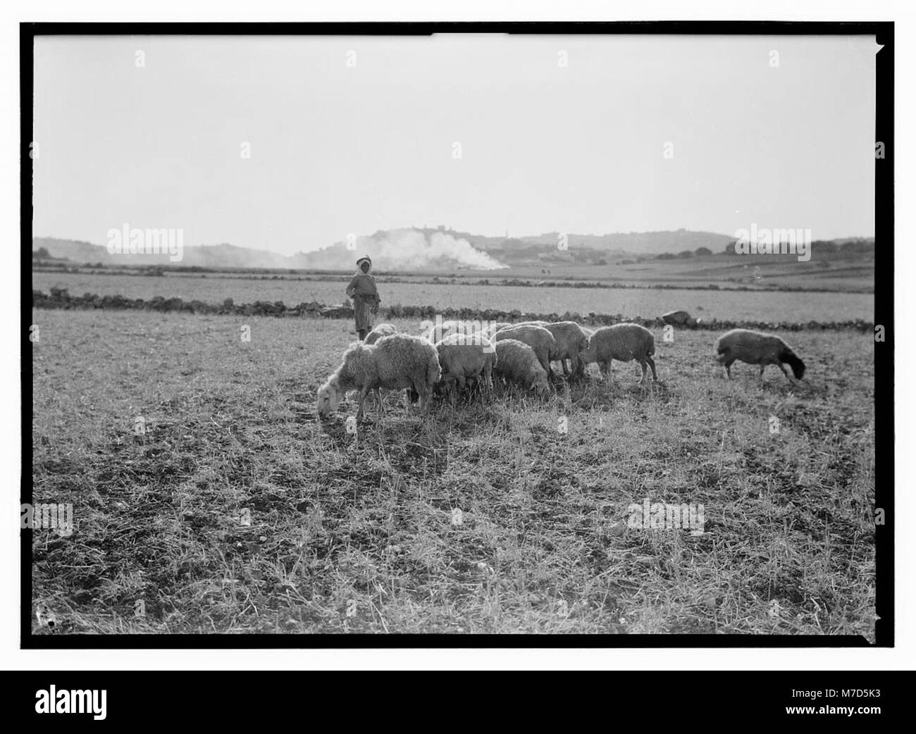 This image depicts scenes from the biblical story of Ruth and Boaz ...