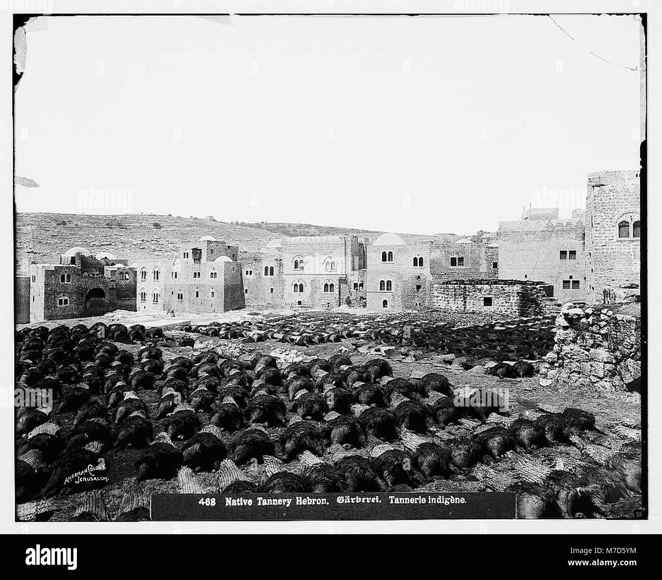 This image shows the traditional process of tanning skins for water ...