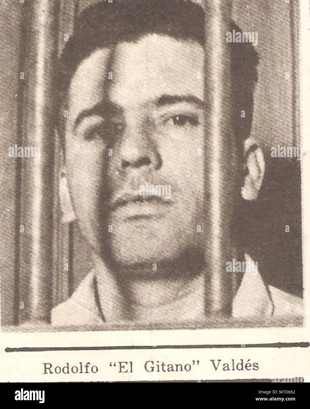 A portrait of Rodolfo, known as El Gitano Valdes, capturing the essence ...