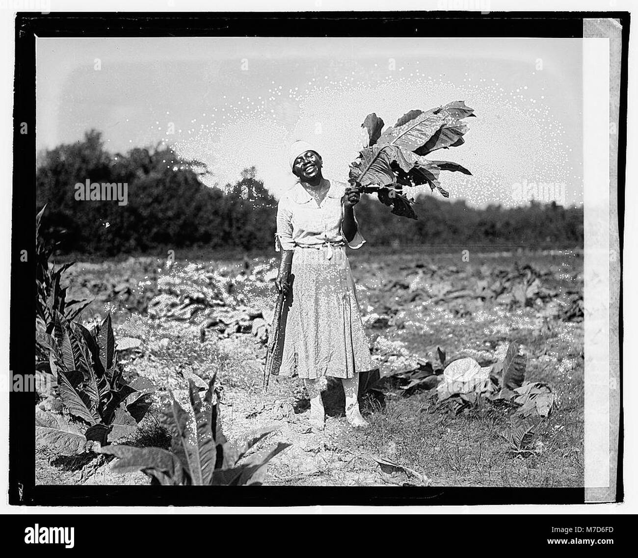 The Herald tour at Point Comfort, Virginia, showcasing local history ...