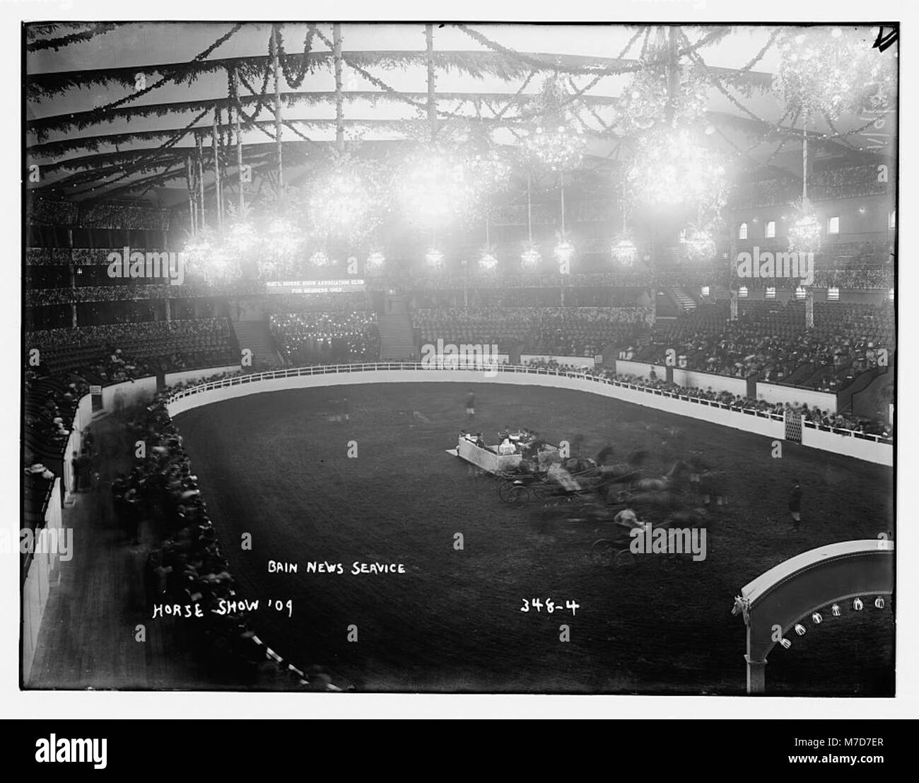 The horse show image captures an equestrian event, highlighting horses ...