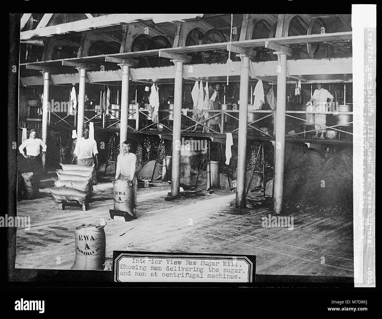 A historical photograph showing the interior of a raw sugar mill, with ...