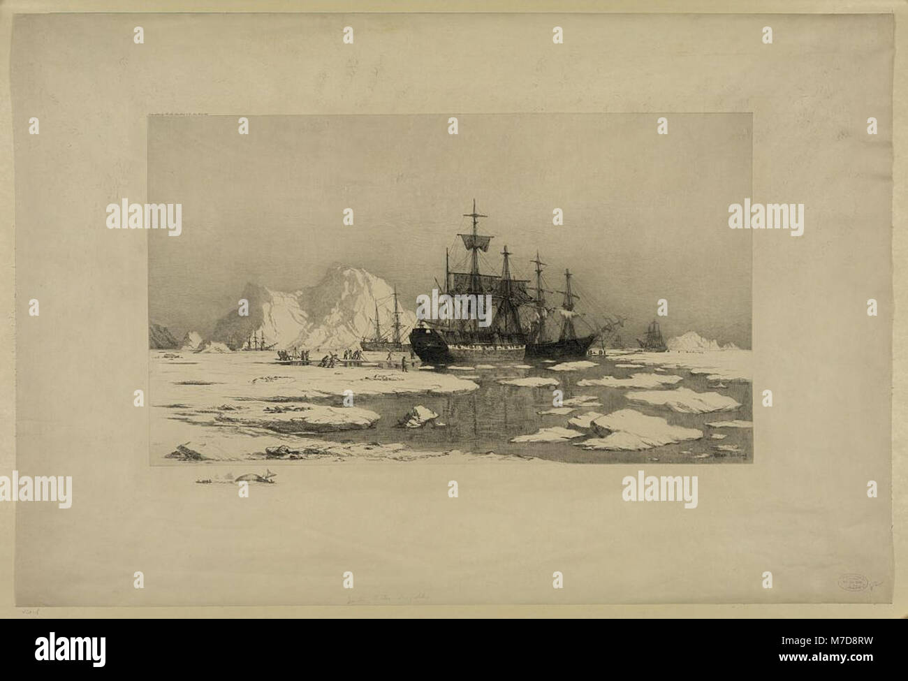 An image depicting the vast, frozen landscape of the Arctic icefields ...