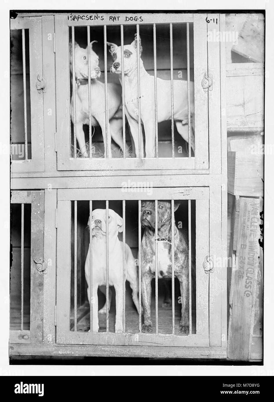 Early pest control Black and White Stock Photos & Images - Alamy