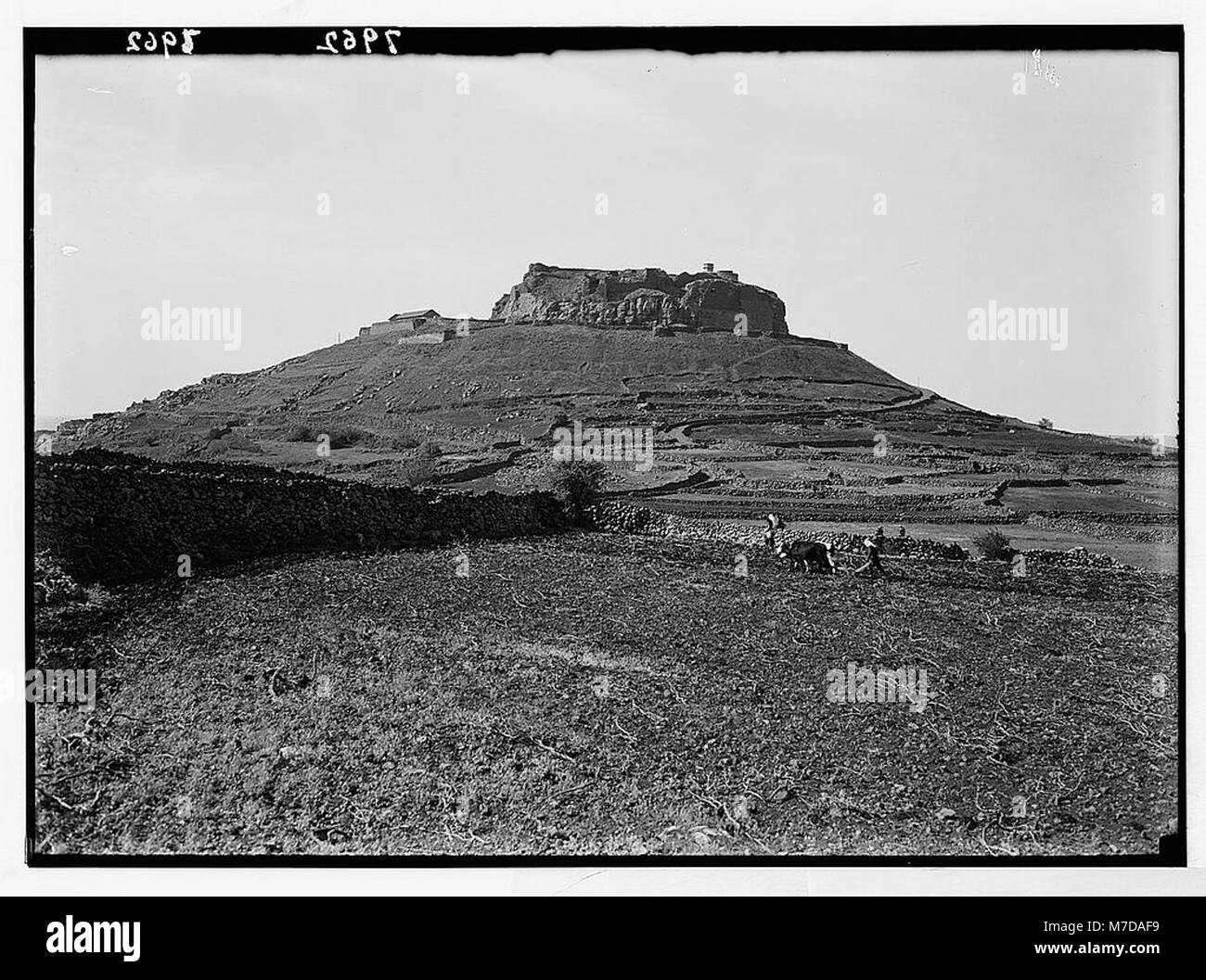 Jebel el-Druze & Hauran. Salkhad. The castle hill from the north with ...