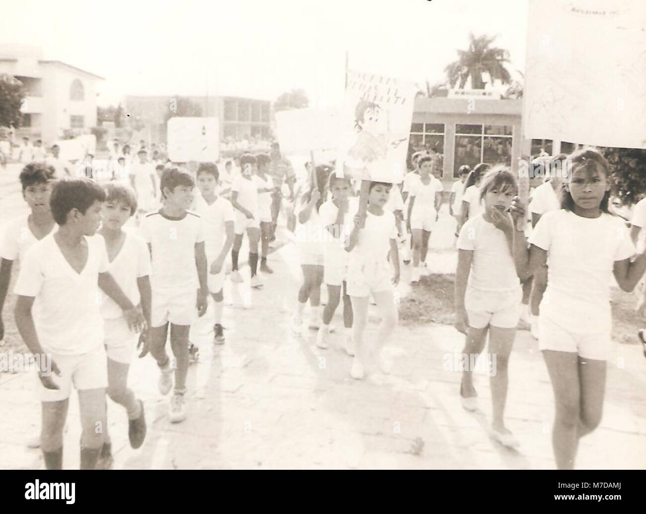 Children from Sinaloa, Mexico, advocating for peace, captured in a ...