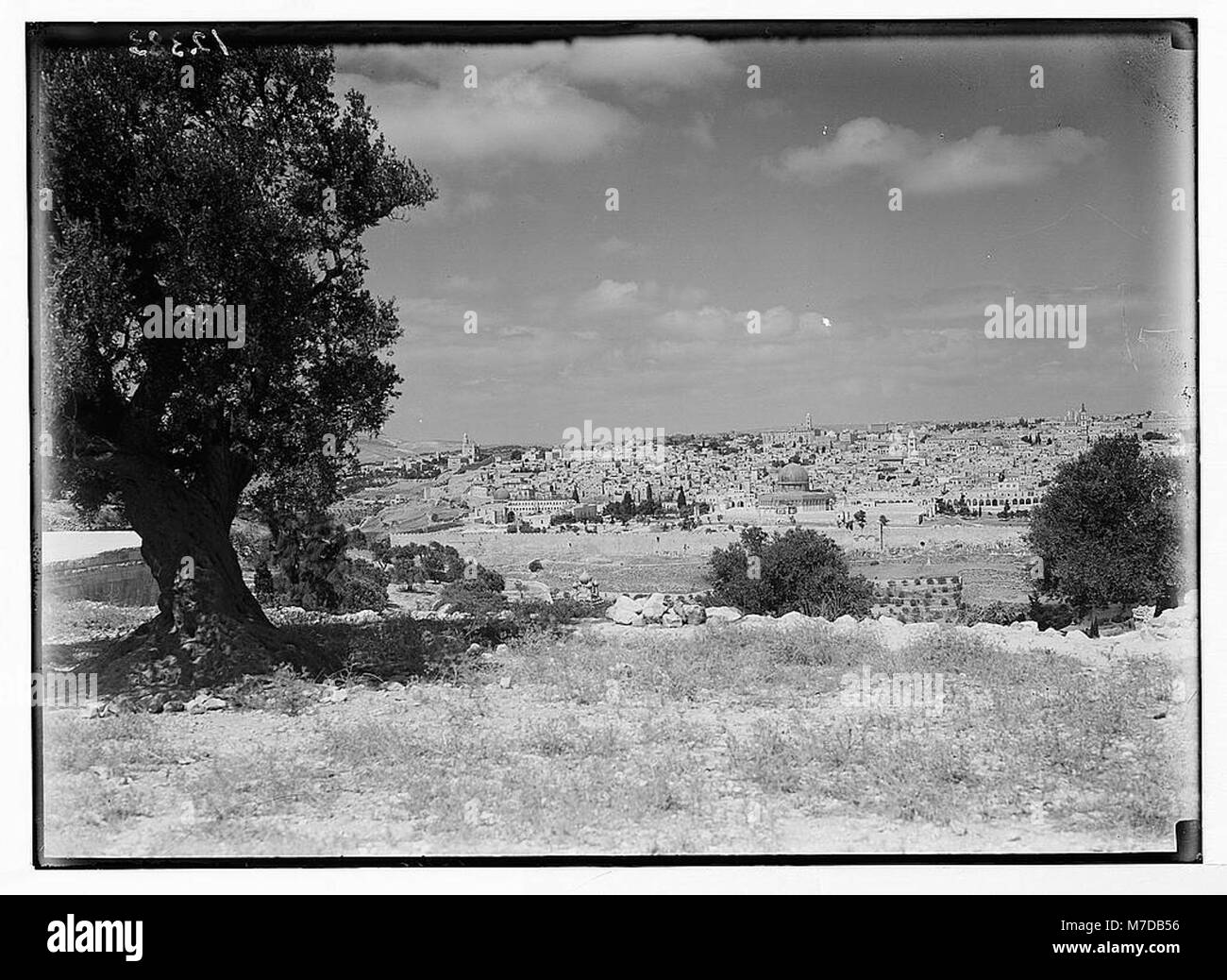 A scenic view of Jerusalem taken from the Mount of Olives, showcasing ...