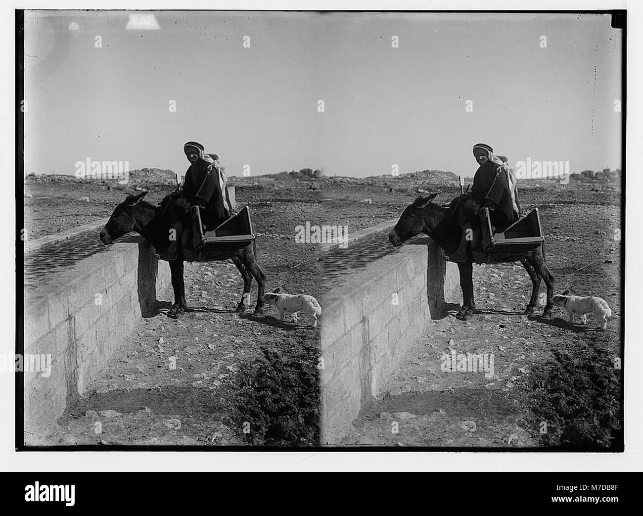A peasant watering his donkey at the Jerusalem water works. This image ...