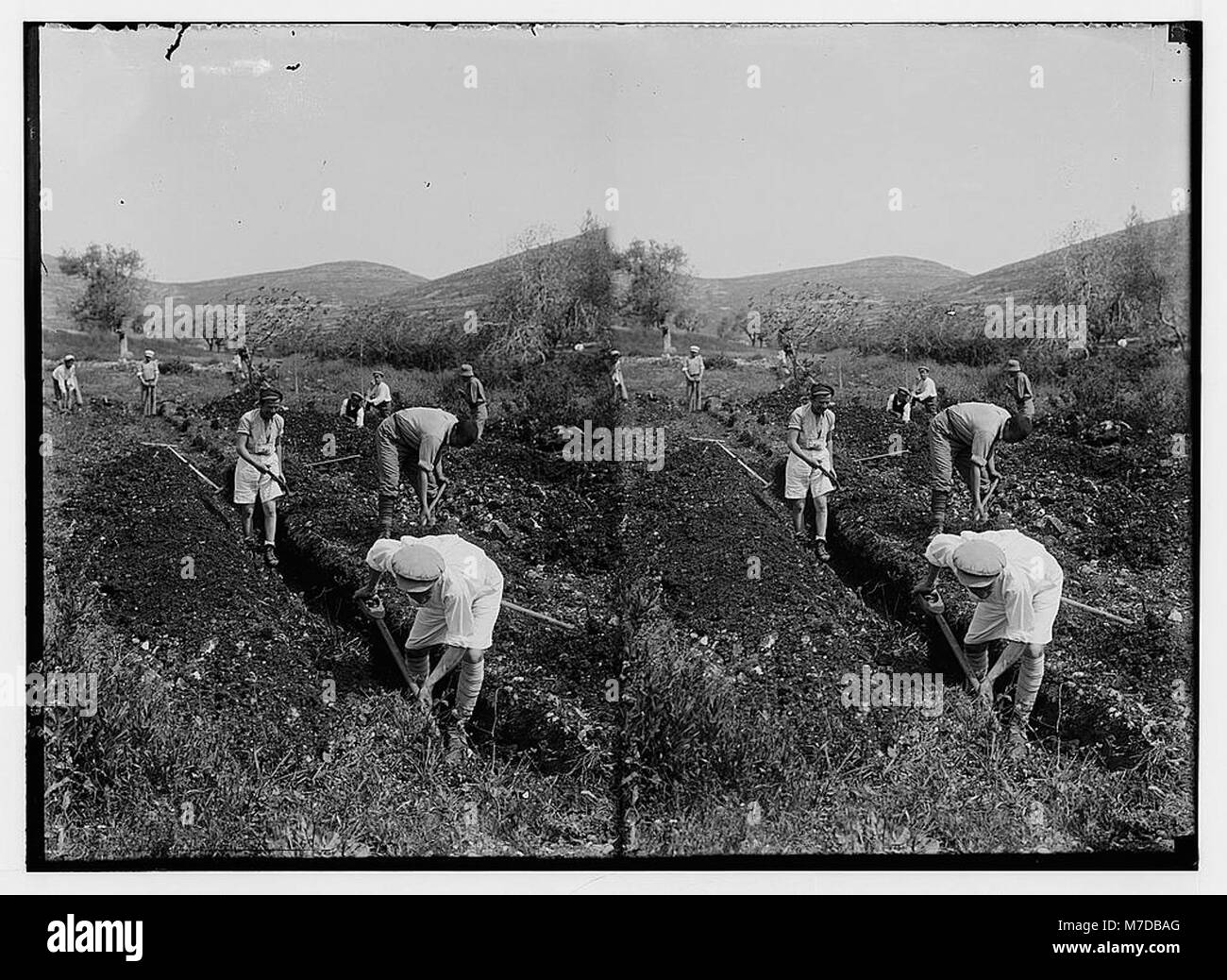 This image depicts the early stages of a Jewish settlement, showing ...