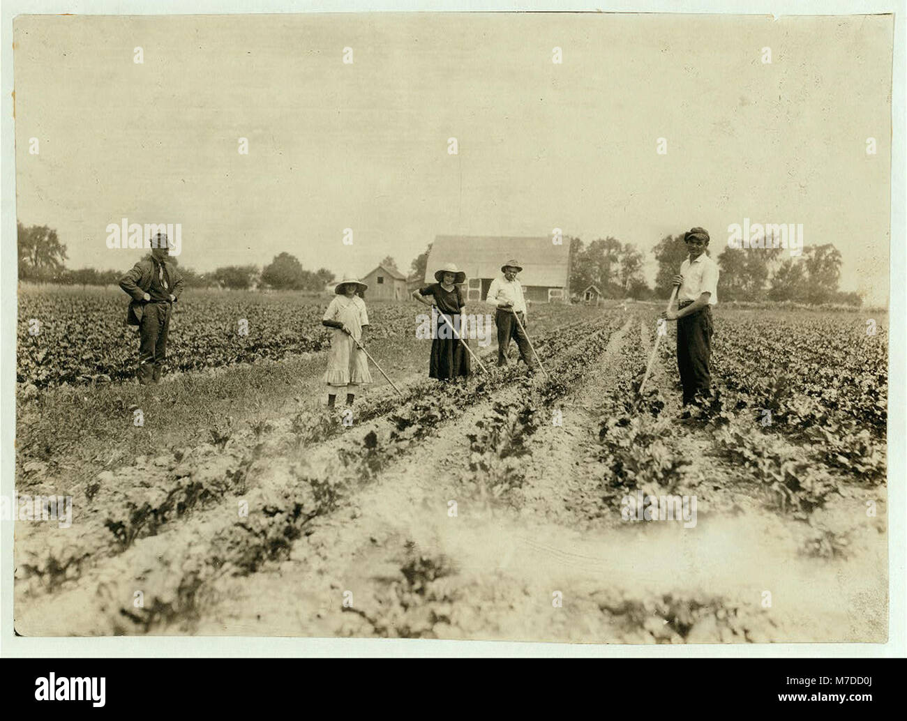 Hundred family book hi-res stock photography and images - Alamy
