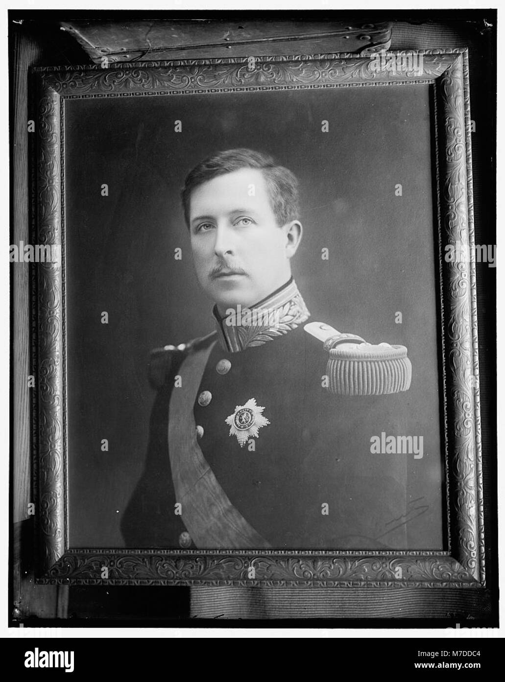 A portrait of King Albert of Belgium, showcasing the monarch's regal ...