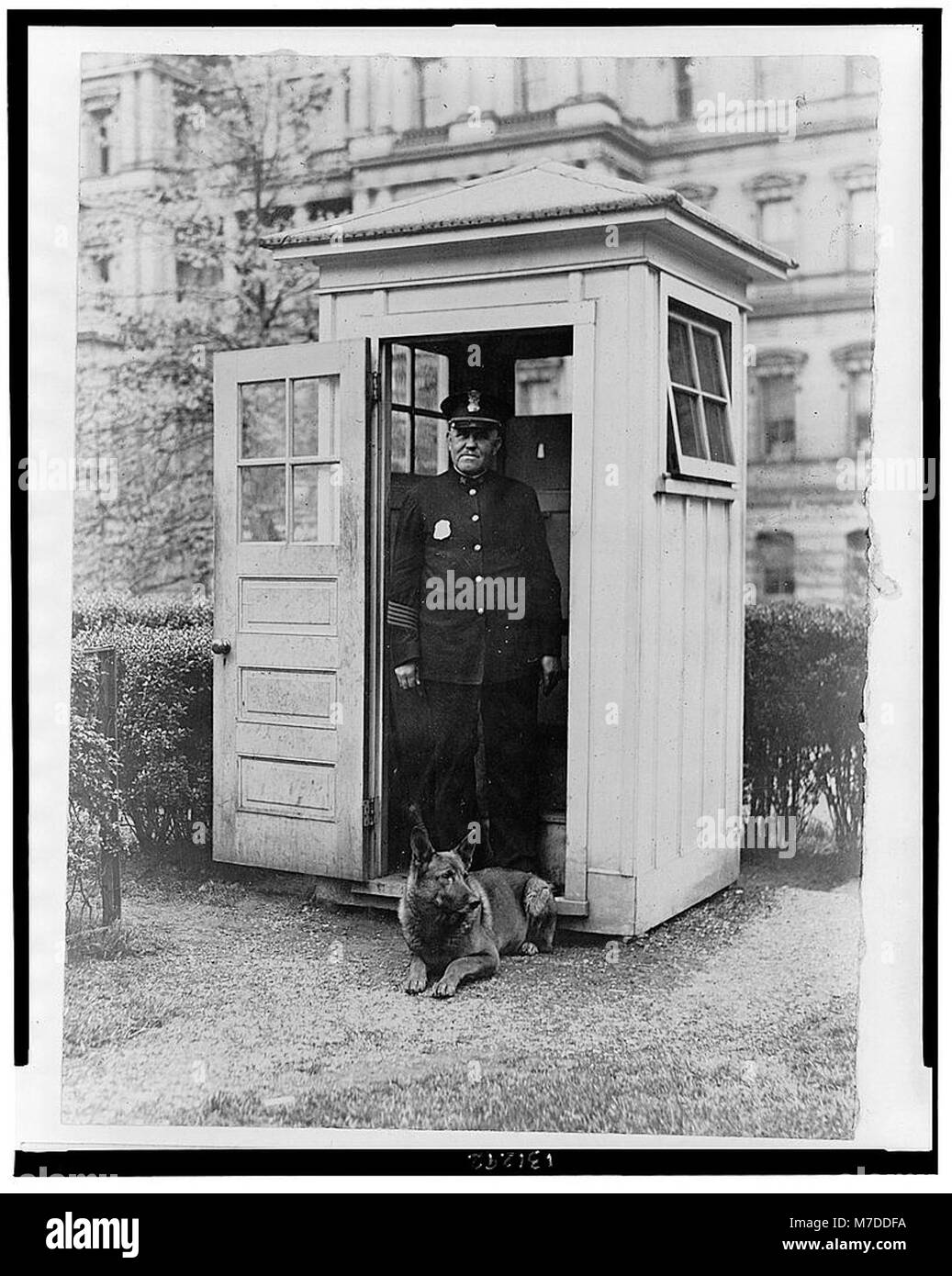 King Tut, the Belgian Police dog, began his service at the White House ...