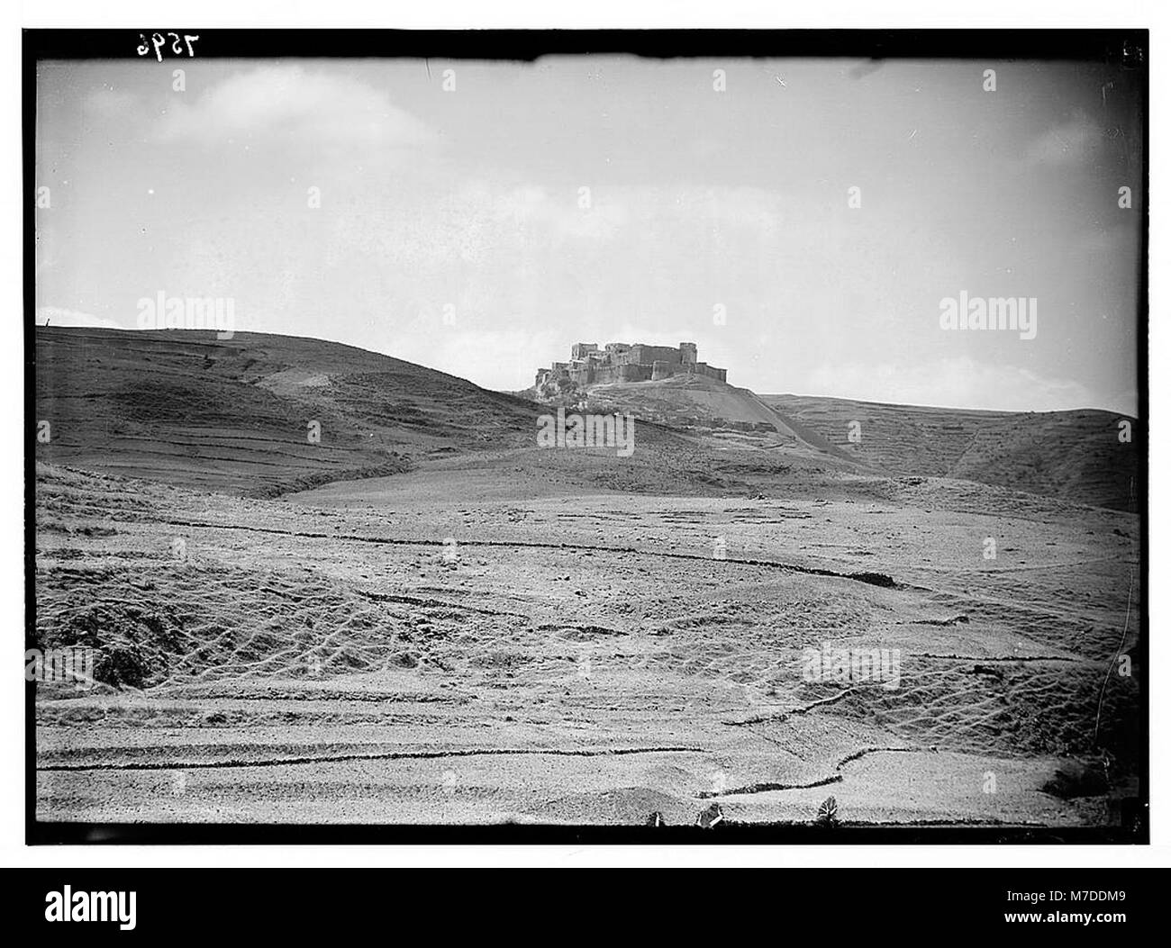 Krak des Chevaliers, a medieval castle in Syria, is shown in this ...