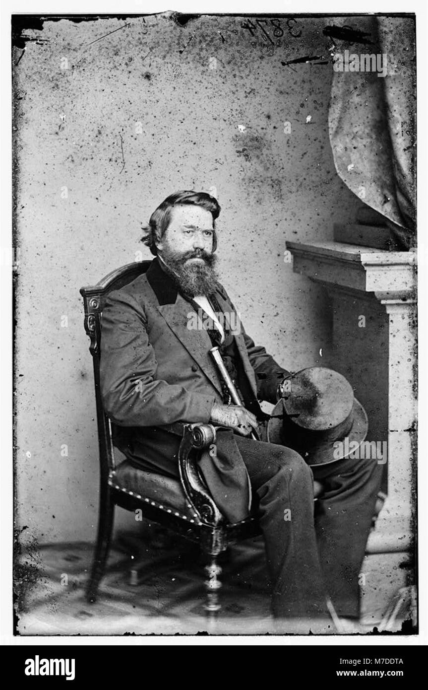 A portrait of Brigadier General L.T. Wigfall, a Confederate officer ...